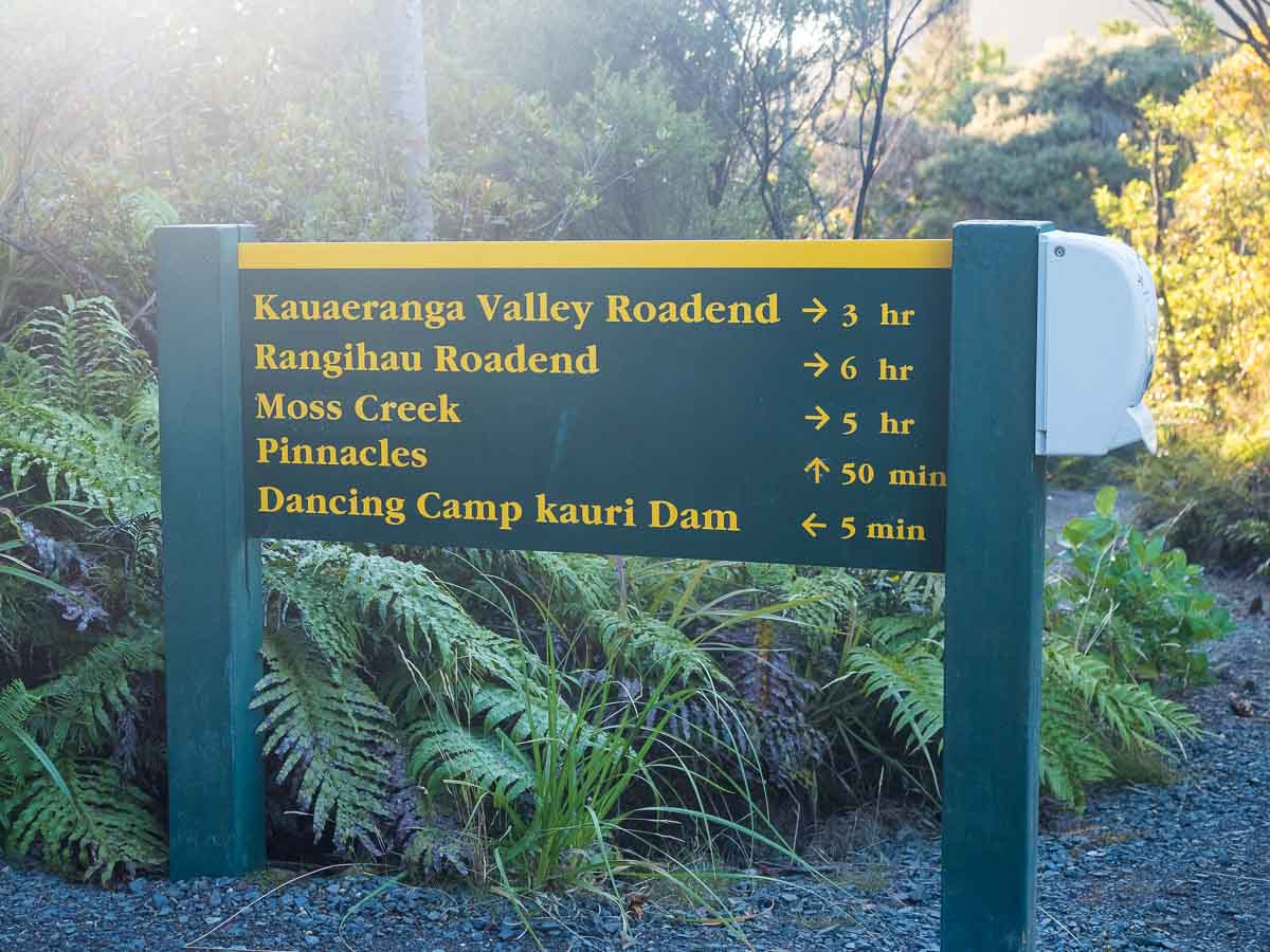 Coromandel Pinnacles Walk (My Complete Guide) - Tristan Balme