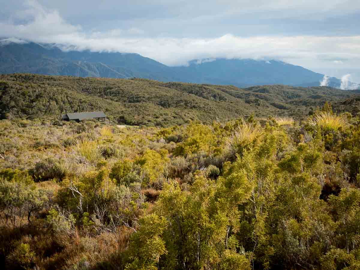 The Heaphy Track Great Walk (My Recommendations) - Tristan Balme