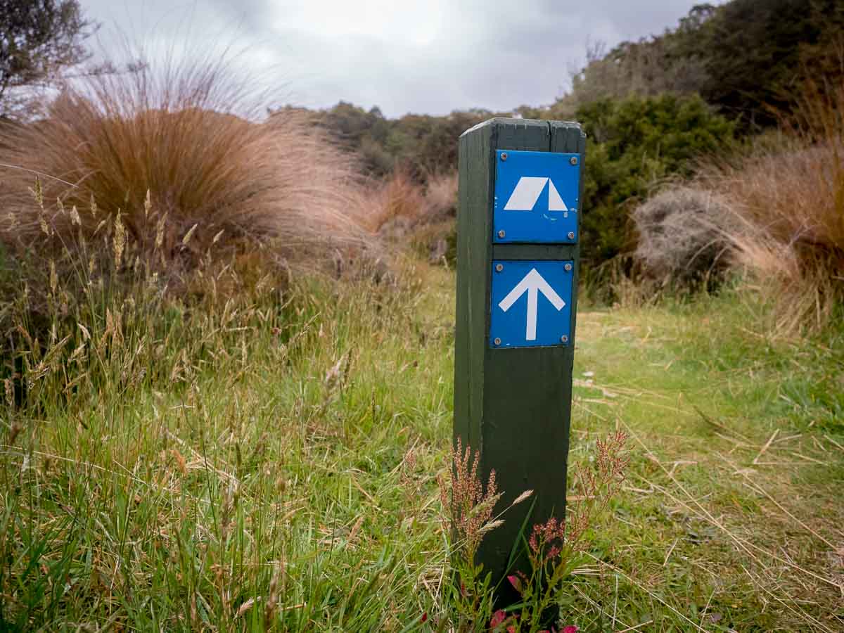 The Heaphy Track Great Walk (My Recommendations) - Tristan Balme