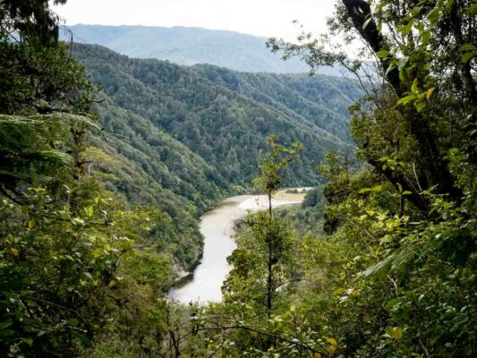 The Heaphy Track Great Walk (My Recommendations) - Tristan Balme